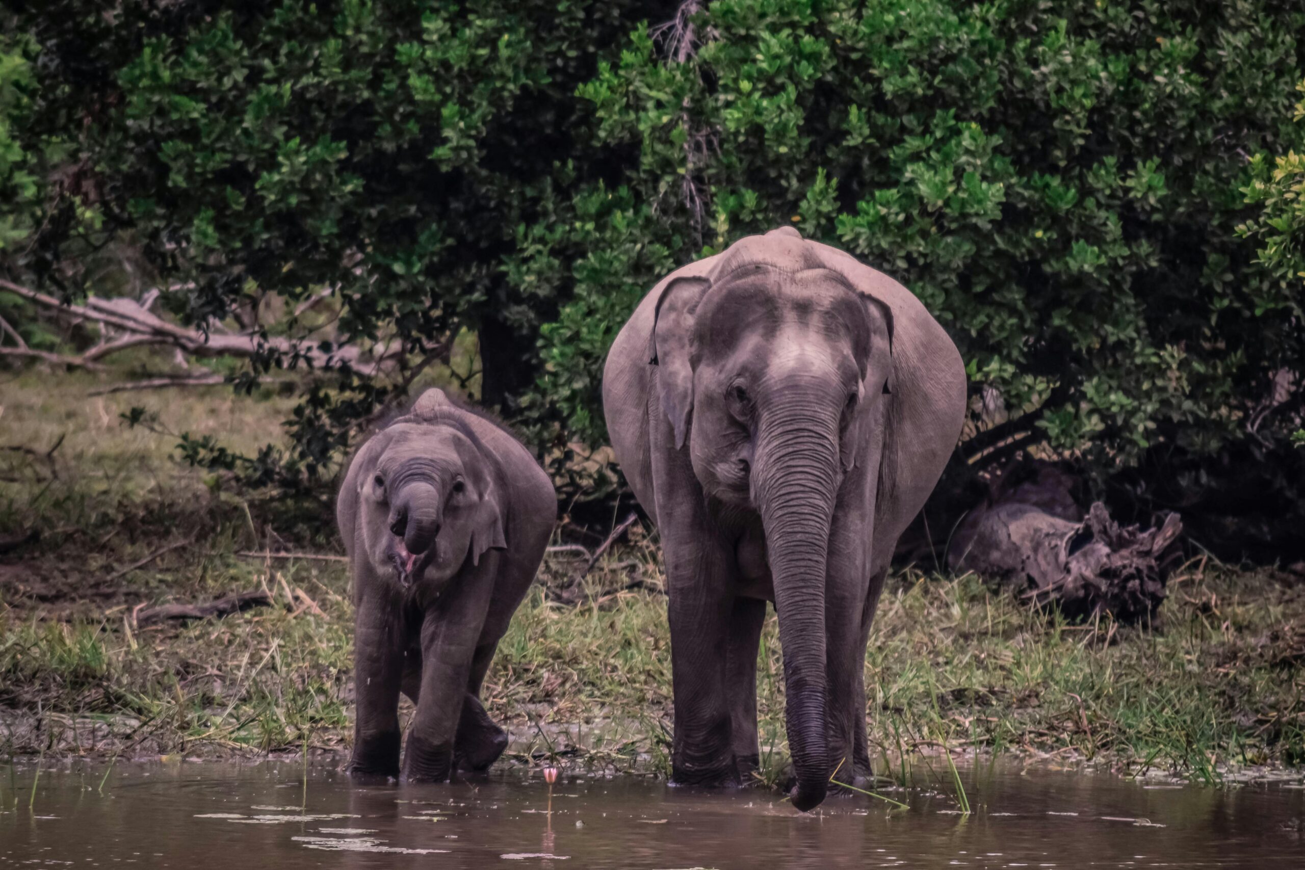 Ekowisata Indonesia, Liburan Seru Tanpa Merusak Alam - MulaMula